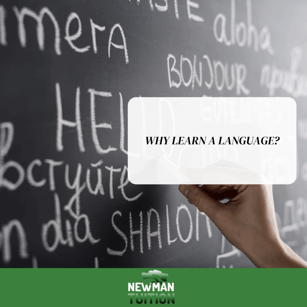 Why Learn a Language? - Newman Tuition